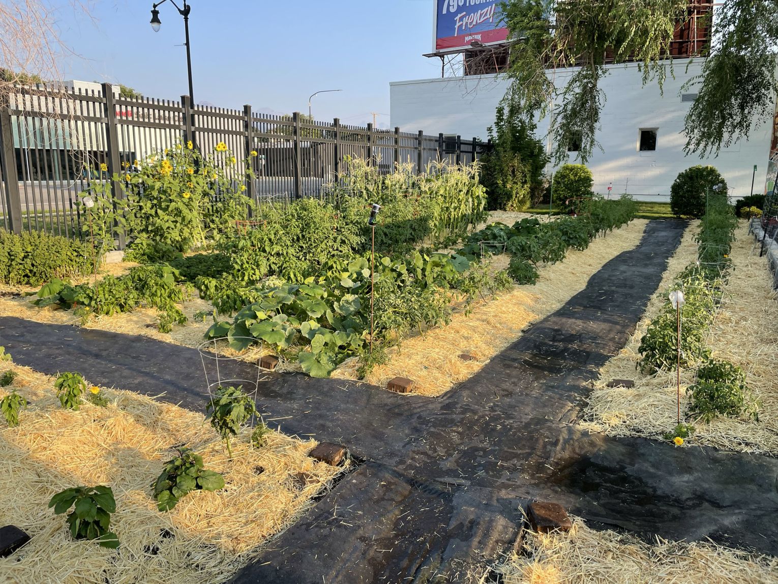 Seeds of Change